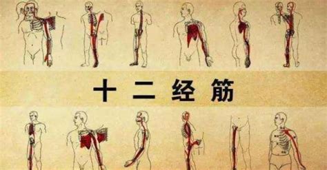 「中醫獨門拉筋法」在家就可以自己拉筋，讓你身上的筋結散和除百病