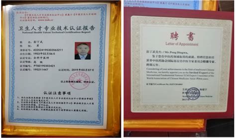 彭丁武 中国中医药传承与创新网