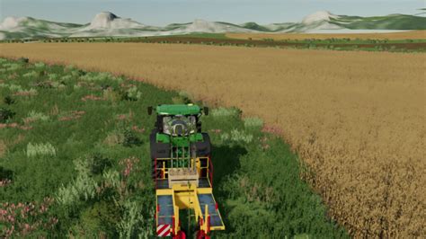 MoreTrees FS KingMods