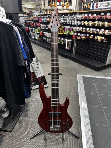 Gear Hunter Esp Ltd D 6 6 String Bass Natural Satin