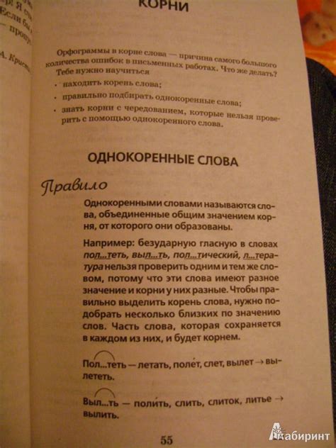 Книга: Пишем без ошибок. Все правила русского языка. 100% грамотность ...