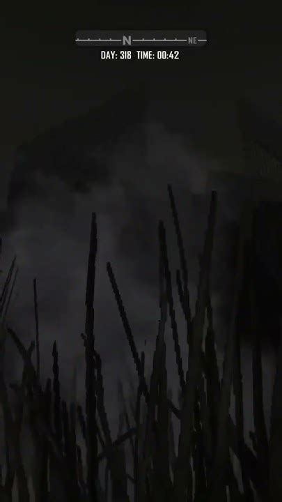 Thick44 Mountain Youtube