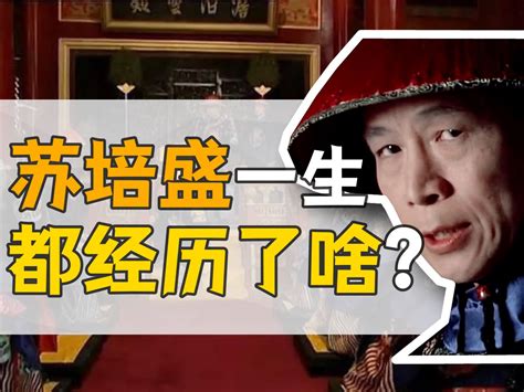 历史上的苏培盛从穷苦书生到太监总管乾隆往事 正直讲史 李正Str 正直讲史 李正Str 哔哩哔哩视频