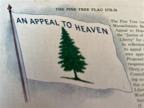 Revolutionary War Early Navy Flags Pine Tree Flag