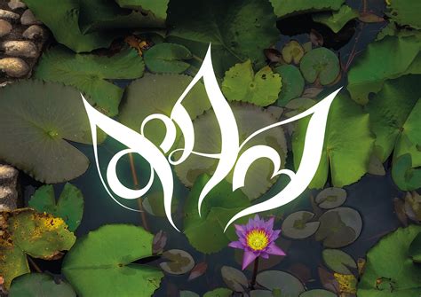 typography devnagri script word kamal on behance