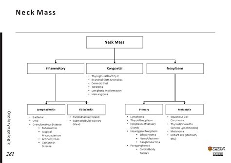 Neck Mass Blackbook Blackbook