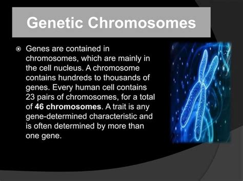 Genetic Pattern Of Inheritance Pptx
