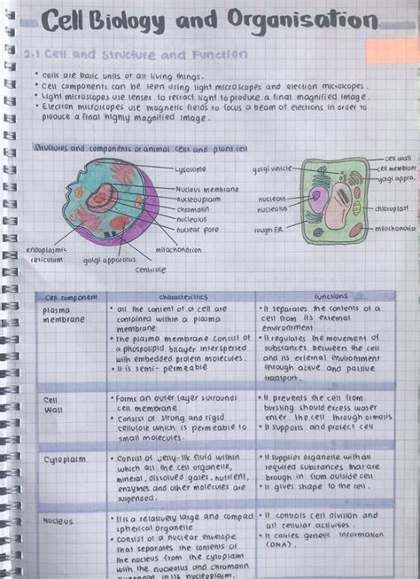 Ap Bio Notes Artofit