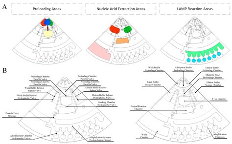 Integrated High Throughput Centrifugal Microfluidic Chip Device For