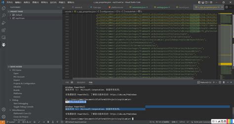 Platformio环境问题集could Not Start Pio Home Server Csdn博客