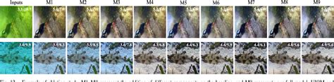 Figure 12 From Unsupervised Underwater Image Enhancement Based On Disentangled Representations