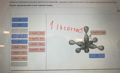Solved Identify The Hybridization Of All Interior Atoms For