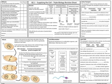 Ocr Gateway Gcse Biology B2 Revision Mat Teaching Resources