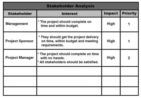 Stakeholder Analysis Process