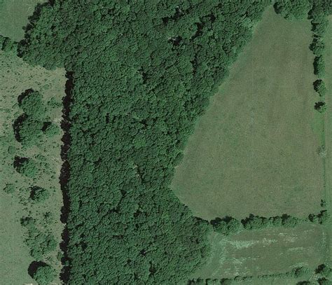 Vegetationsearch Instance Segmentation Dataset By Ctuav