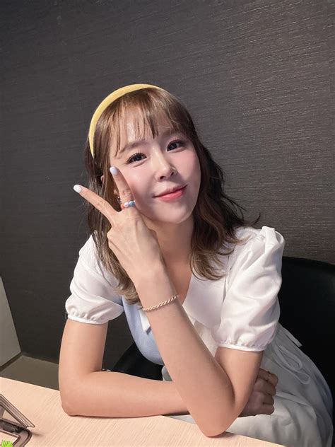브이 🏻