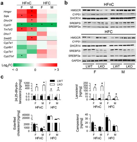 Sex Related Response Of Cholesterol Homeostasis To Dietary Fats In Download Scientific Diagram