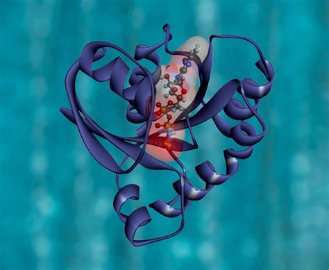 Github Ruankiepotein Interaction Determine The Frequency Of