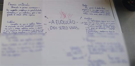 Solution Evolu O Dos Seres Vivos Mapa Mental Studypool