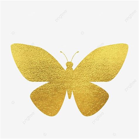قطع ورقة الفراشة الذهبية ذهبي فراشة Insect Png والمتجهات للتحميل