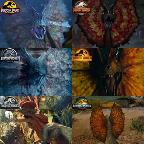 Pin De Daahvidd Em Jpjwdinos 🦖🦕🌋🧬 Em 2025 Dinossauros Aves Belas