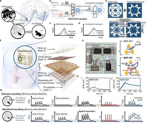 Schematic Of The Information Filterable Artificial Retina System With