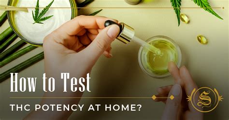 How To Test THC Potency At Home Easy Methods To Try The Sanctuary