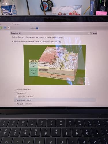 Biology 2 Exam Flashcards Quizlet