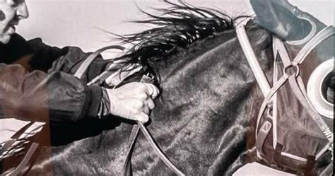 Queensland Racing Integrity Commission Hands Down Charges Following