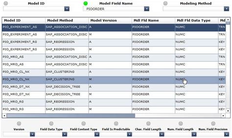 SAP BW Data Mining Analytics Model Reporting Part 1 DataScienceCentral Com