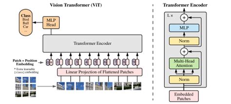 GitHub Lupin Awesome MIM Survey Masked Modeling For Self Supervised Representation