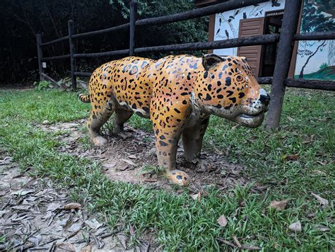 Cockscomb Basin Wildlife Sanctuary Hike