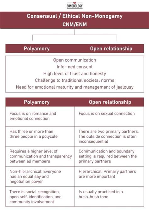 Polyamory Vs Open Relationship 8 Key Differences And Some Similarities Adult Guest Blog