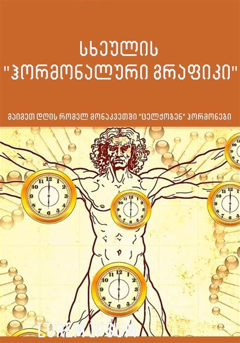 სხეულის ჰორმონალური გრაფიკი გაიგეთ დღის რომელ მონაკვეთში ცელქობენ ჰორმონები სასარგებლო