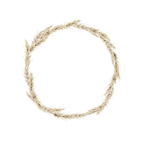 Premium Photo Watercolor Cereal Wreath Elegant Wheat Round Frame