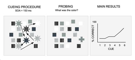 2 schematic depiction of the sequential cueing vwm task introduced by