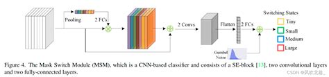 Dynamask Dynamic Mask Selection For Instance Segmentation（动态大小的mask