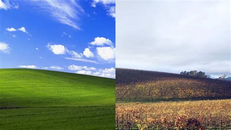 Как изменилась картинка из Windows Xp поле в 2025 году и реакция пользователей Hi Tech Mail