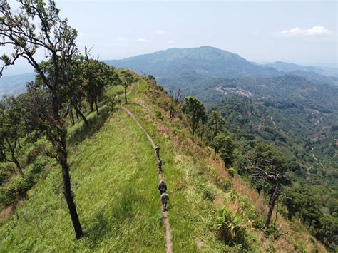 Cha Phan Pi Forest Park Thailand Travel Map