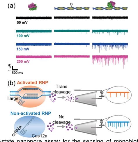 Figure From The Application Of Single Molecule Nanopore Sensing For Quantitative Analysis