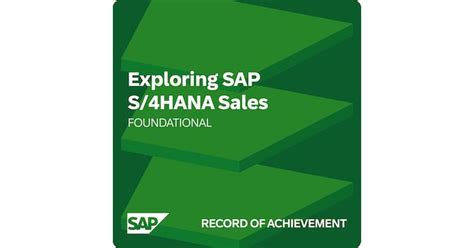 Mohit Kumar Singh On Linkedin Exploring Sap S 4hana Sales Record Of