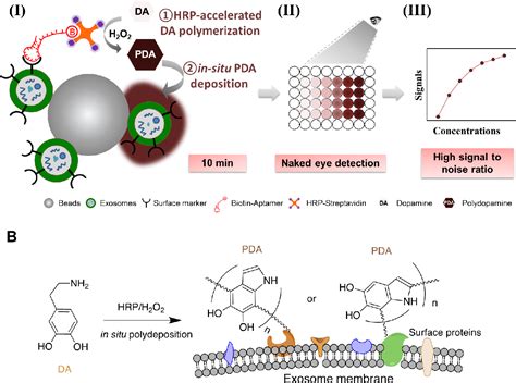 Figure 1 From Development Of A Simple Sensitive And Selective Colorimetric Aptasensor For The