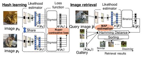 The Architecture Of Our Probabilistic Deep Hashing Download