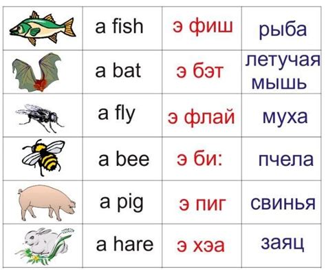 Одноклассники English Lessons Russian Language Learning Learn English