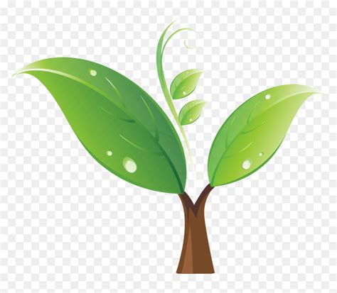 Tree Sprout Free Download Seedling Png Transparent Png Vhv