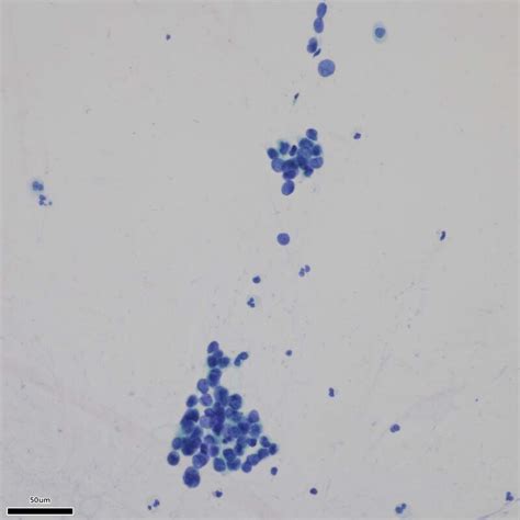 Ui 1 Einst Technology Pte Ltd