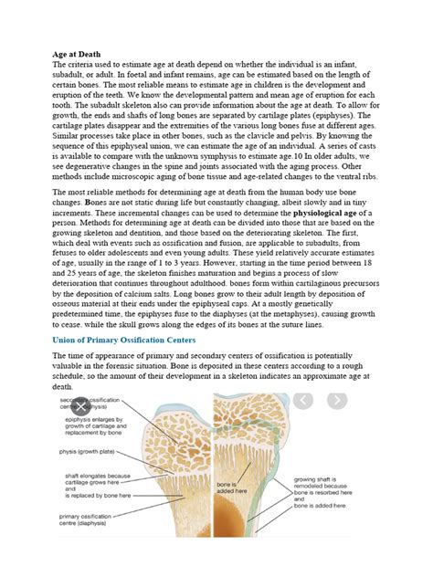 age estimation pdf skull bone