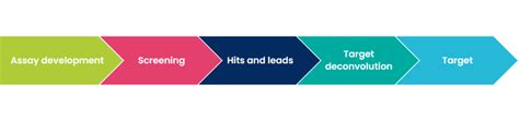 Target Deconvolution Drug Discovery Cro Services