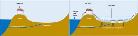 Coastal Cities And Sea Level Rise Coastal Wiki