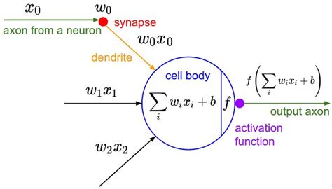 Single Neuron In Neural Network Using C Stack Overflow